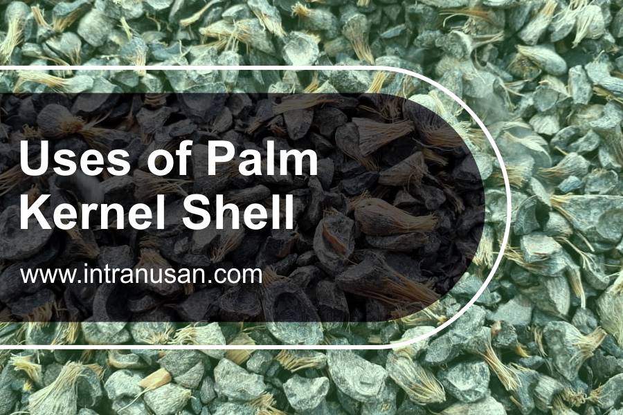 Uses of Palm Kernel Shell – PT. Inti Trading Nusantara